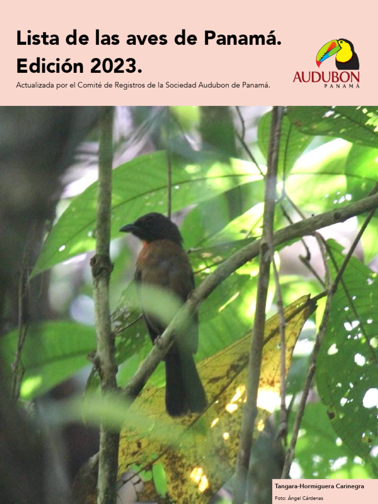 Lista de Aves de Panamá 2023 v2 | PDF | Aves de américa del norte | Aves