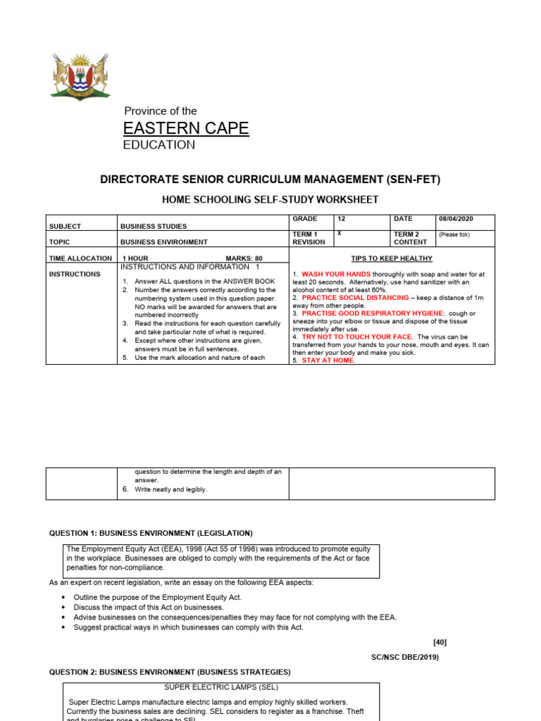 Business Studies Grade 12 Worksheet 8 Business Environments | PDF