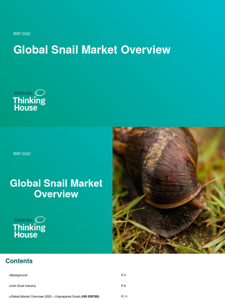 Global Snail Market Overview | PDF | Economies
