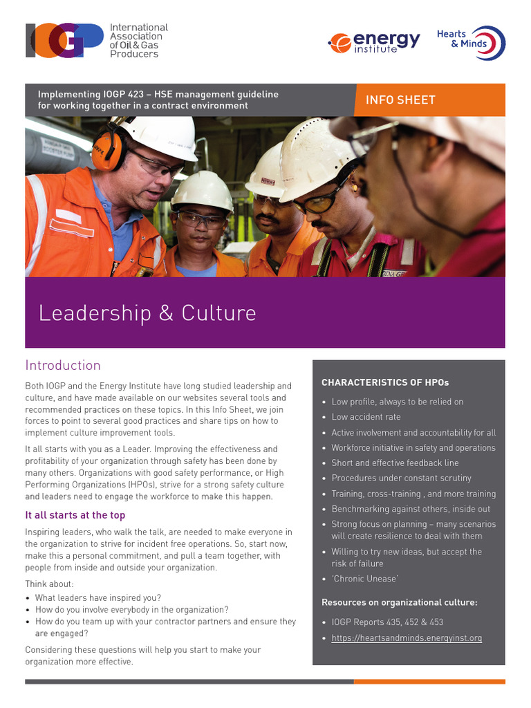 Leadership and Culture Info Sheet | PDF | Leadership | Organizational ...