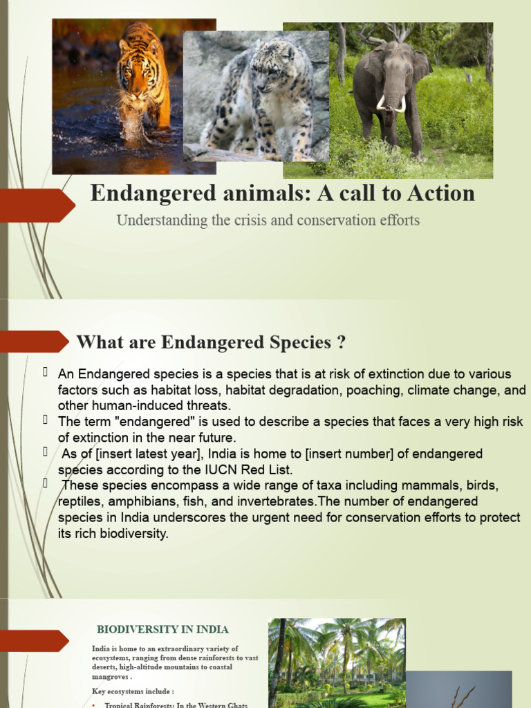 Endangered Animals | PDF | Endangered Species | Conservation Biology