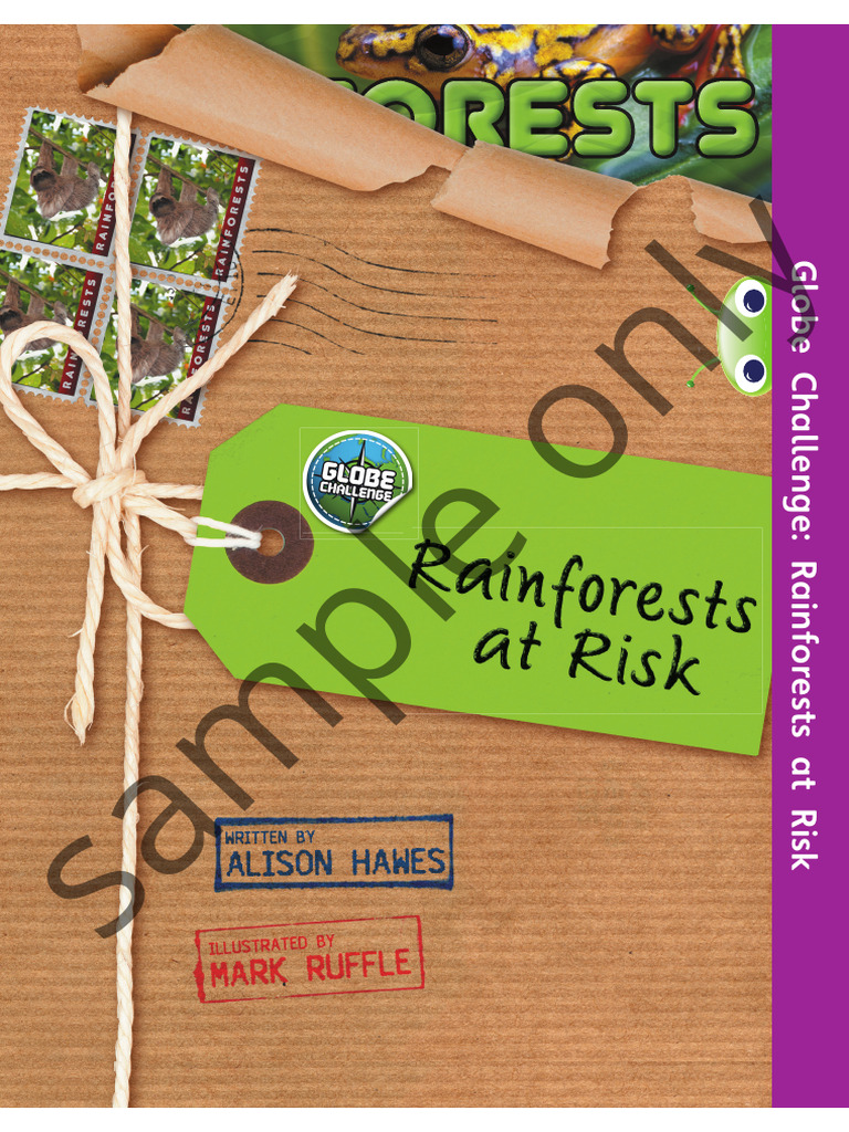 Year 6 Non Fiction Anthology Sample | PDF | Rainforest | Habitat