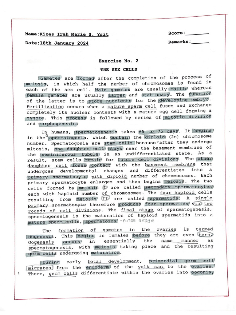 Ysit Cbb4 Oralhist Act2 | PDF