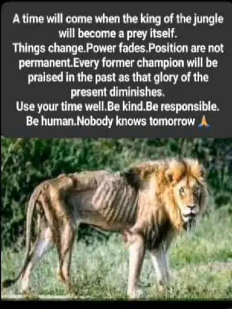 PDF Phoenix 20240520 | PDF