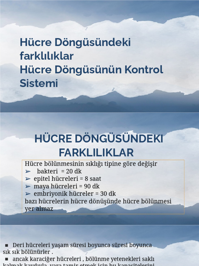 Adsız Sunu | PDF