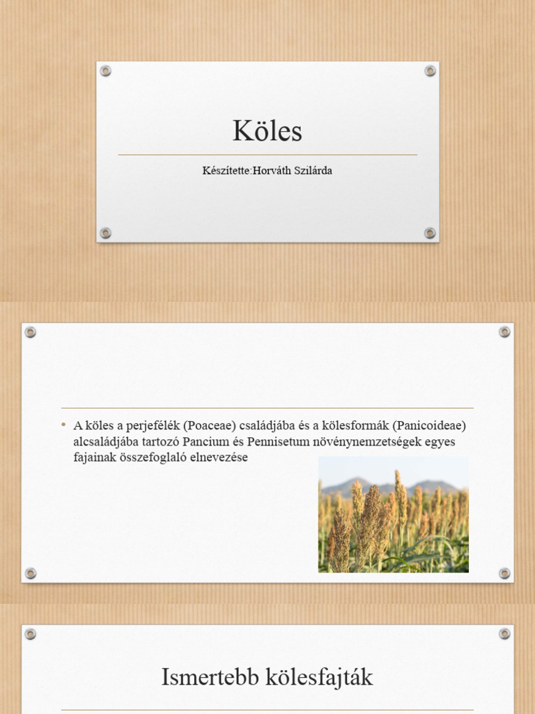 Köles | PDF