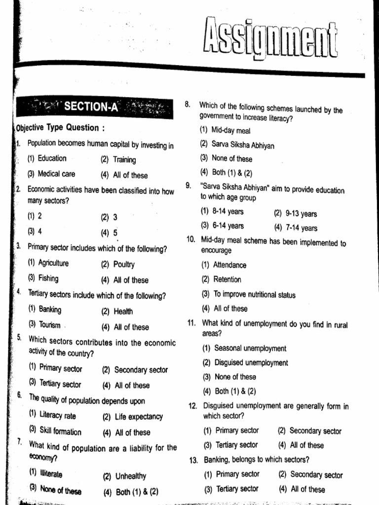 Eco CH 2 Revision Assignment | PDF