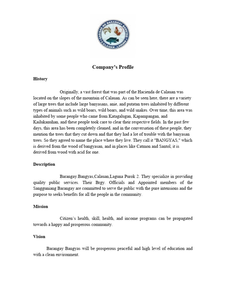Company's Profile: History | PDF