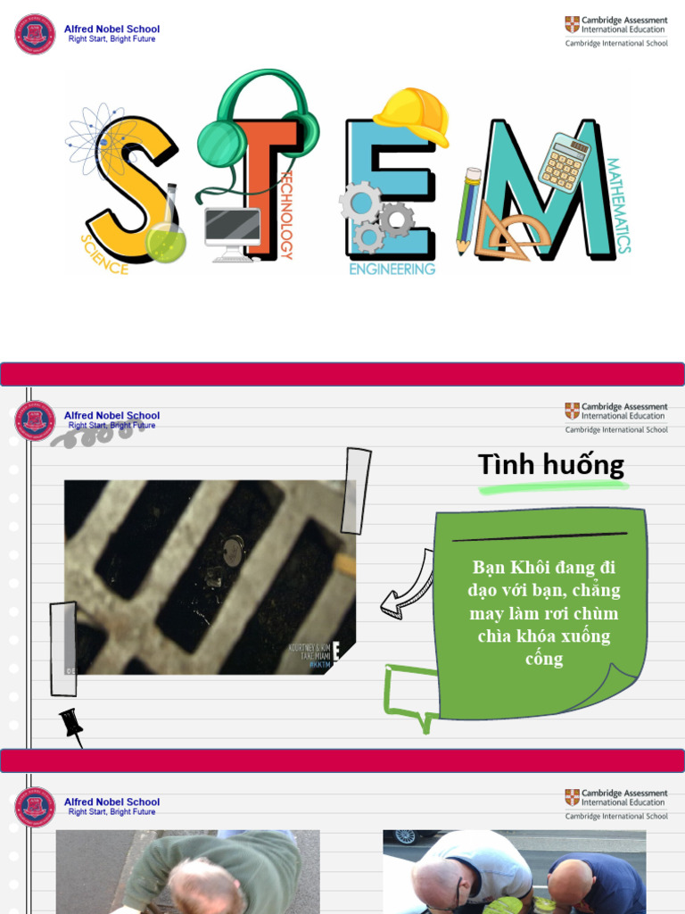 STEM | PDF