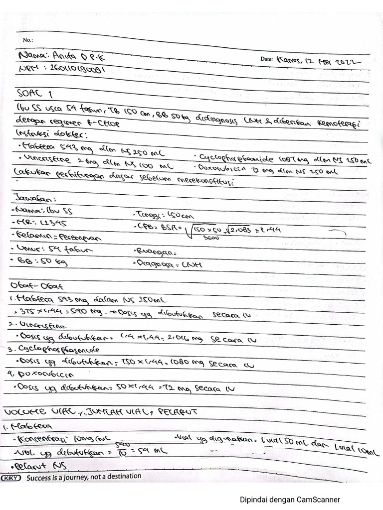 Anita D P K - Perhitungan Dasar Kemoterapi | PDF