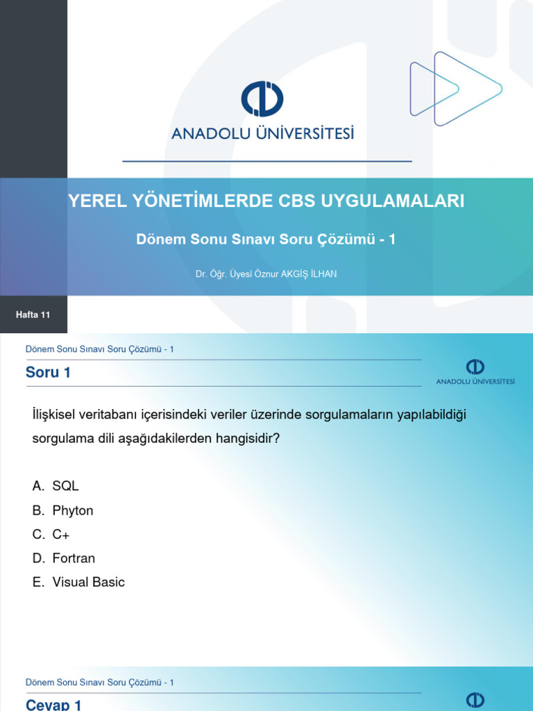 YEREL YÖNETİMLERDE CBS UYGULAMALARI (11) | PDF