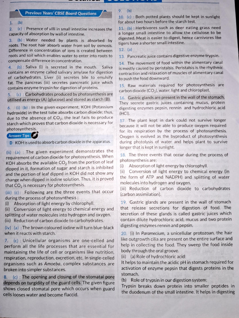 10 Years Questions Answers Key of Life Processes | PDF