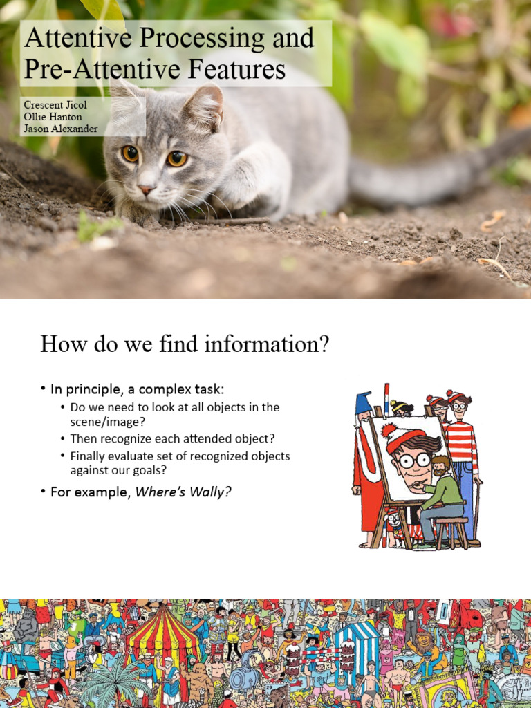 8B Pre-Attentive Features | PDF | Color | Visual Perception