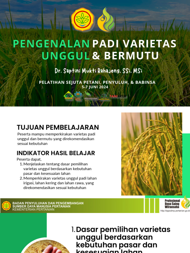 BT Pengenalan Padi VUB - SMR, Ibu Ajeng | PDF