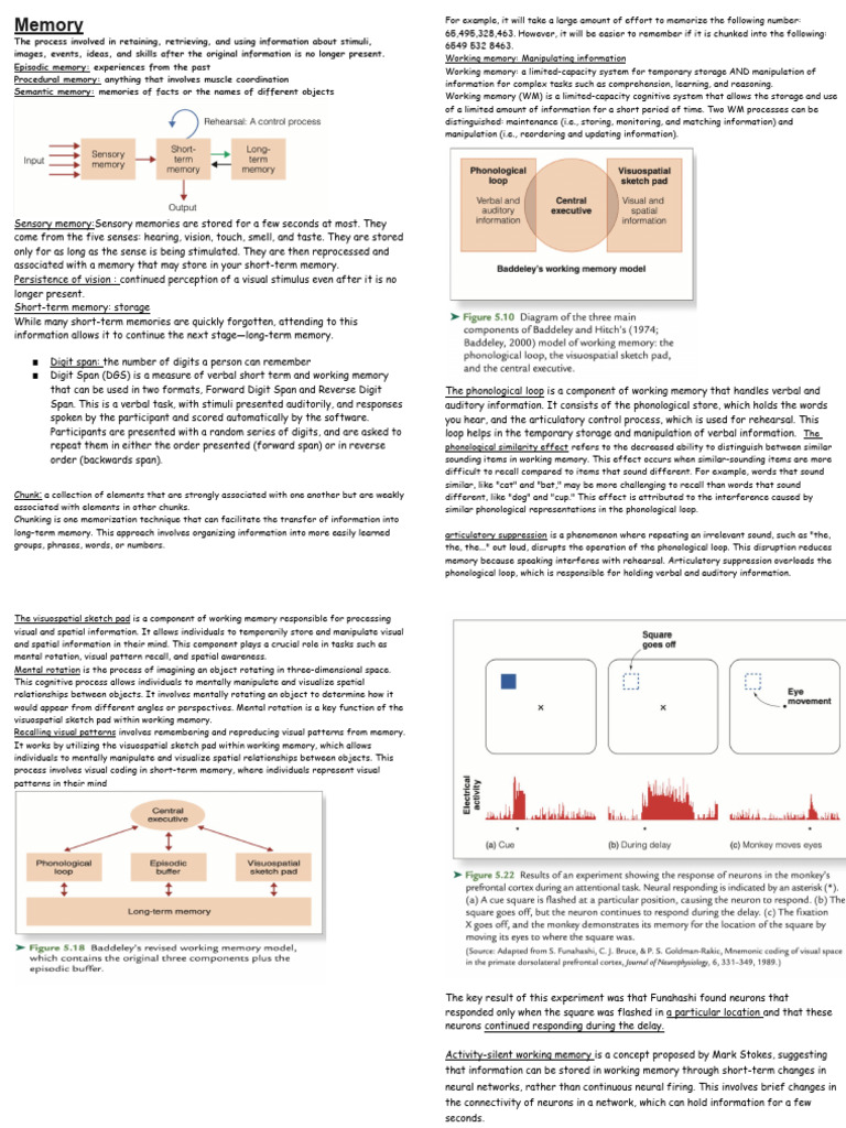 Cognitive Not | PDF | Memory | Recall (Memory)
