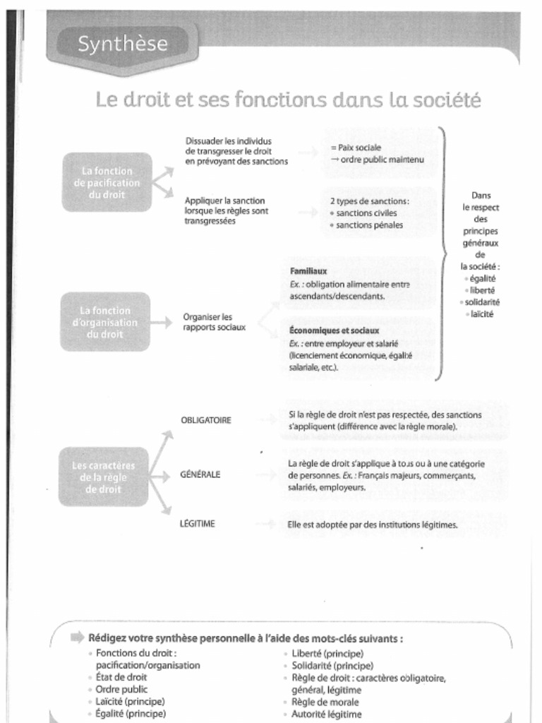 Synthèse Droit 1ere | PDF