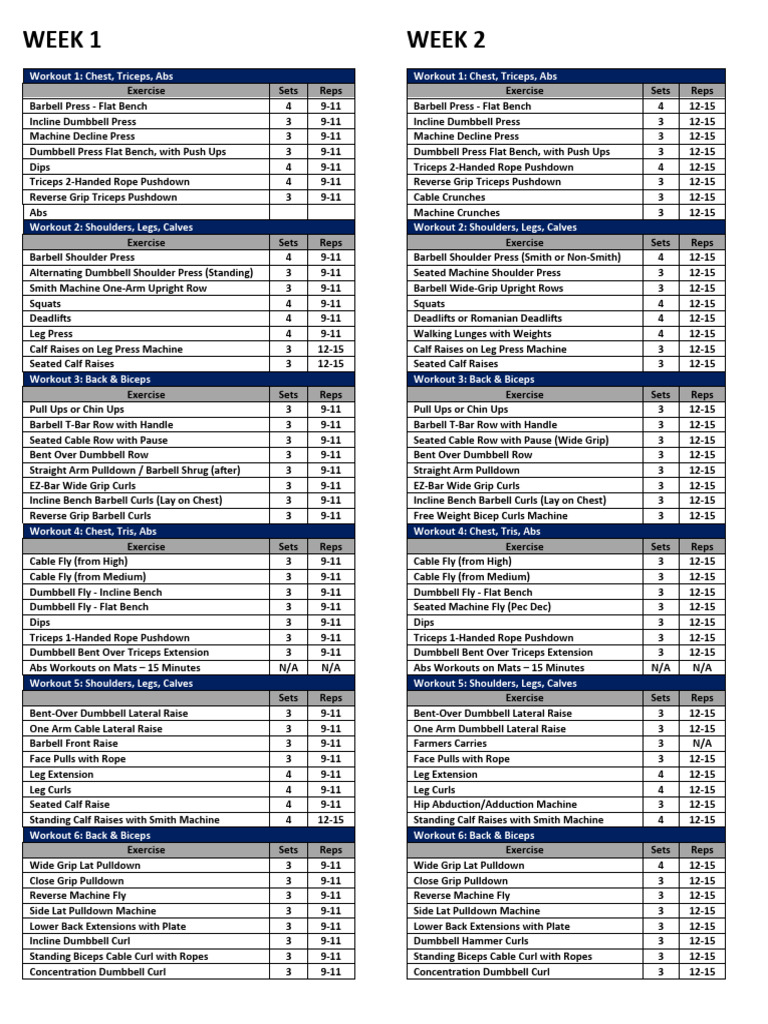 Workout Program | PDF | Physical Exercise | Weight Training