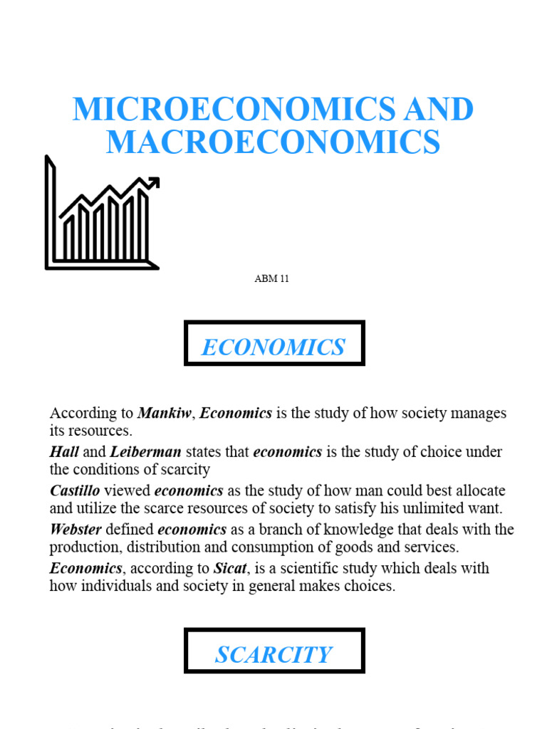 Economics PROJECT | PDF | Microeconomics | Economics