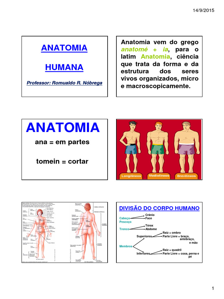 Aula 1 Anatomia Humana Unirb Download Grátis Pdf Anatomia Corpo
