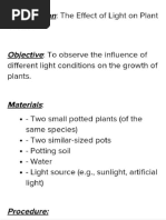 Sunlight's Impact on Plant Growth | PDF | Experiment | Botany