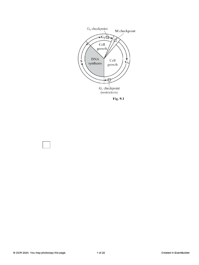 Cell Division, Diversity, Differentiation MCQ and 6 Marker | PDF ...