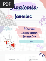 Anatomía y Cultura de las Nalgas | PDF | Nalgas | Anatomía humana