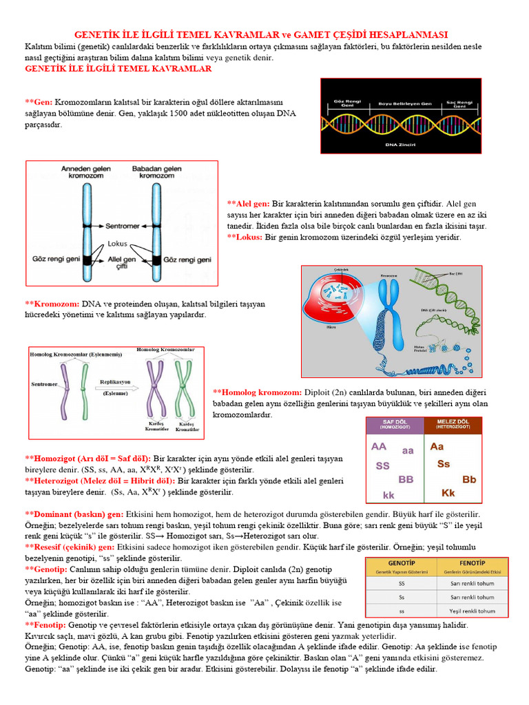 Kali Tim | PDF