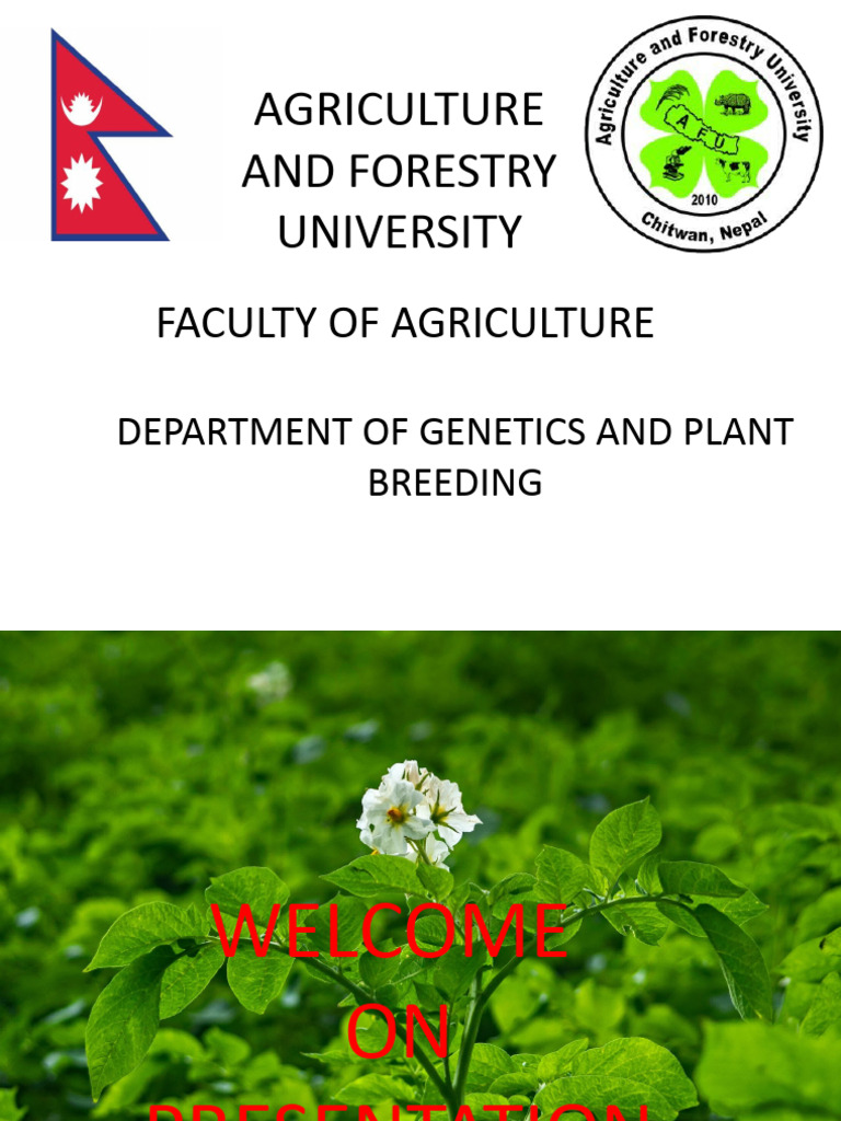 Origin, Cytogenetics, Flower Morphology, and Breeding Scheme of Potato | PDF | Plant Breeding ...