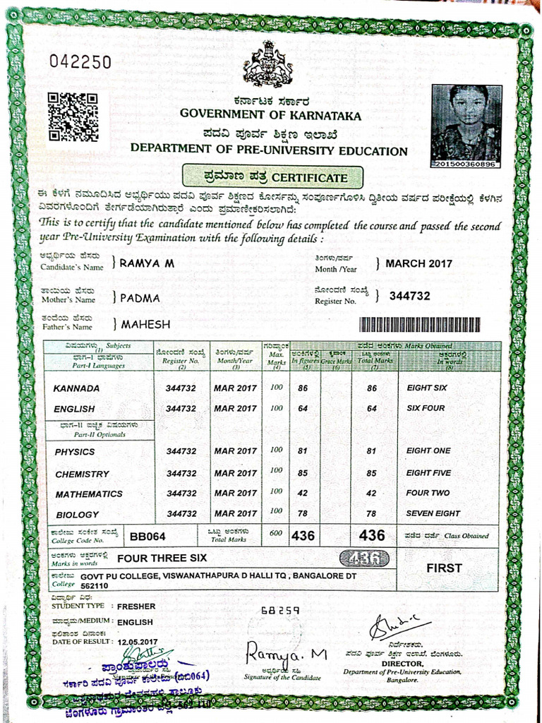 PUC Markssheet | PDF