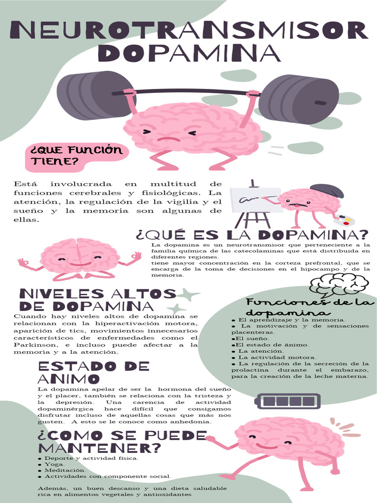 Infografía Sobre La Dopamina | PDF | Relaciones personales, crianza y desarrollo personal ...