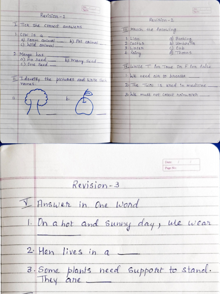 Evs annual assessment revision | PDF