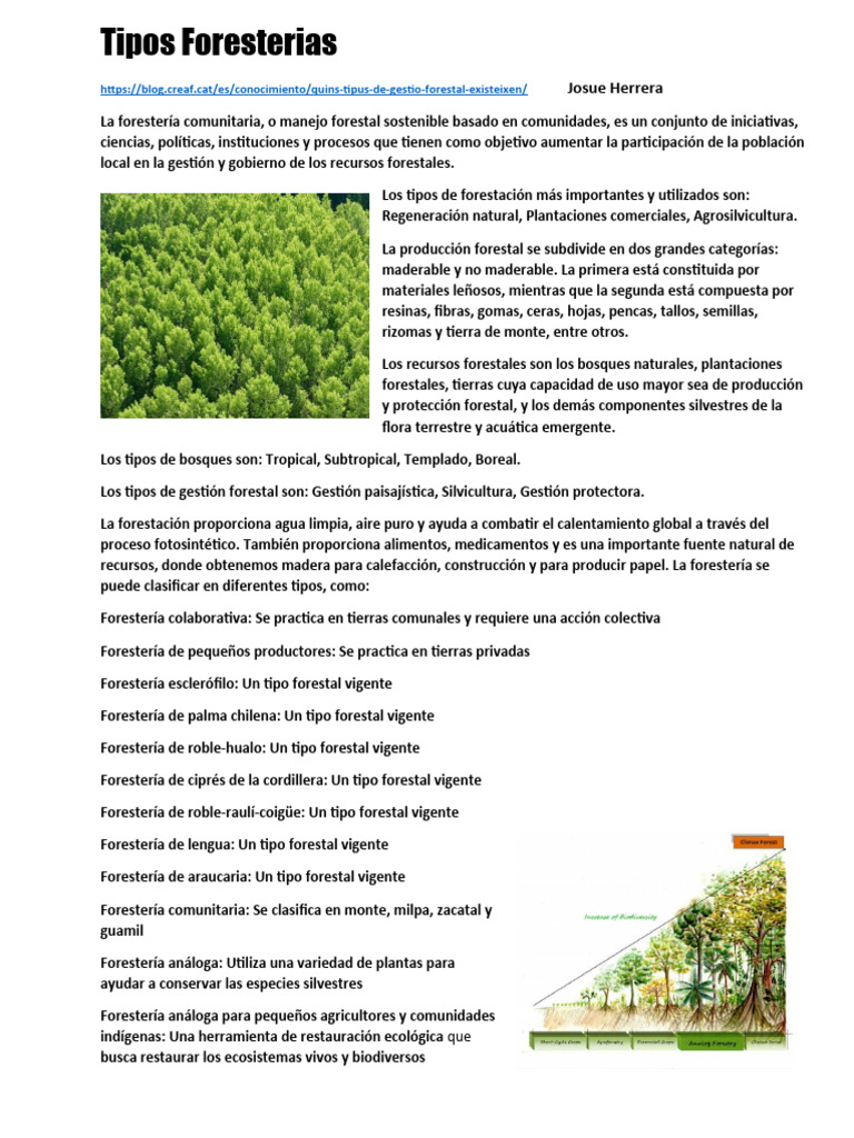 Tipos Foresterias | PDF | Los bosques | Gestión de bosques