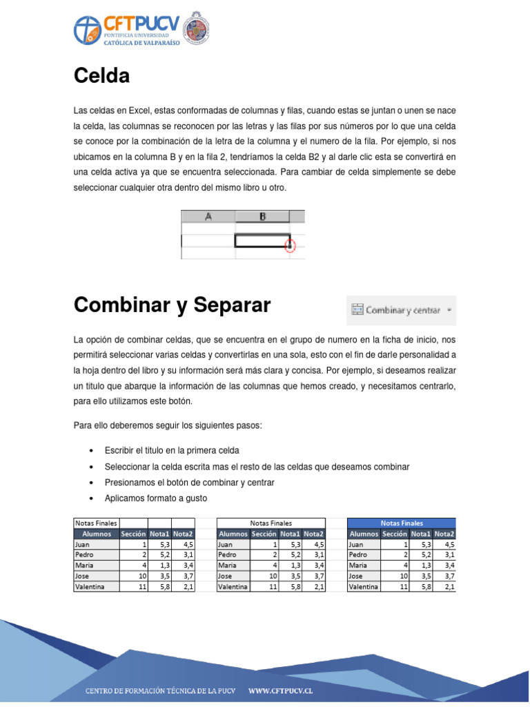 Formatos y Funciones de Celdas en Excel | PDF | Porcentaje | Microsoft Excel