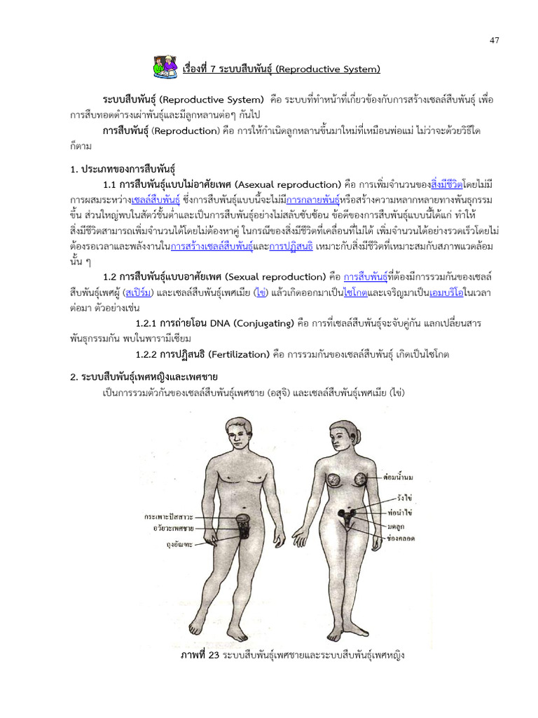 M 2 Chapter 27 | PDF