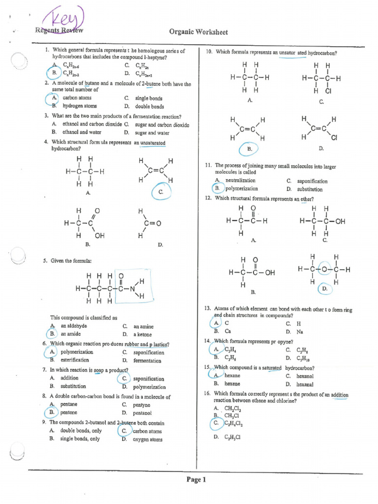 Answer Key | PDF