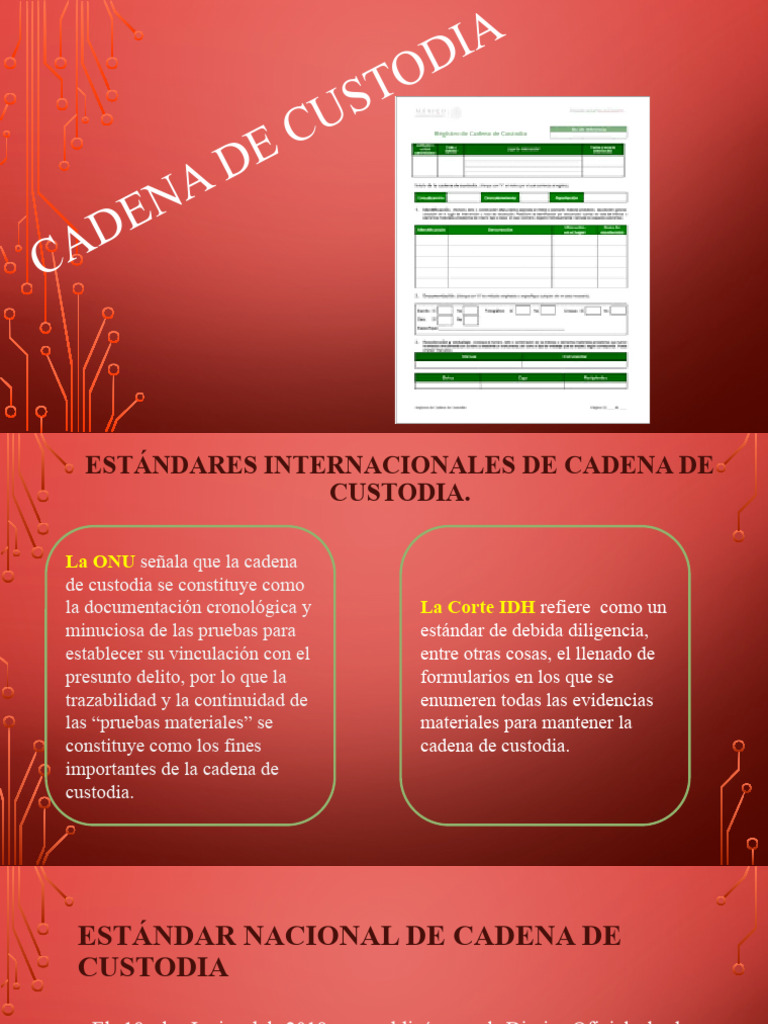 Cadena de Custodia | PDF