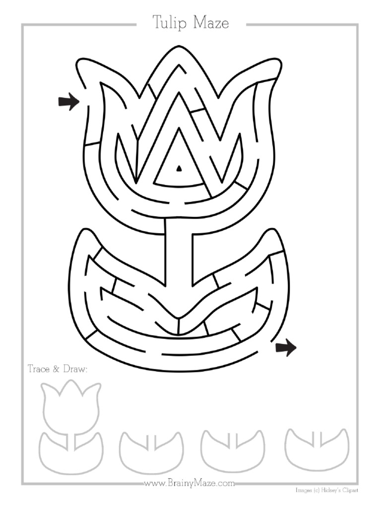 Tulip Maze | PDF