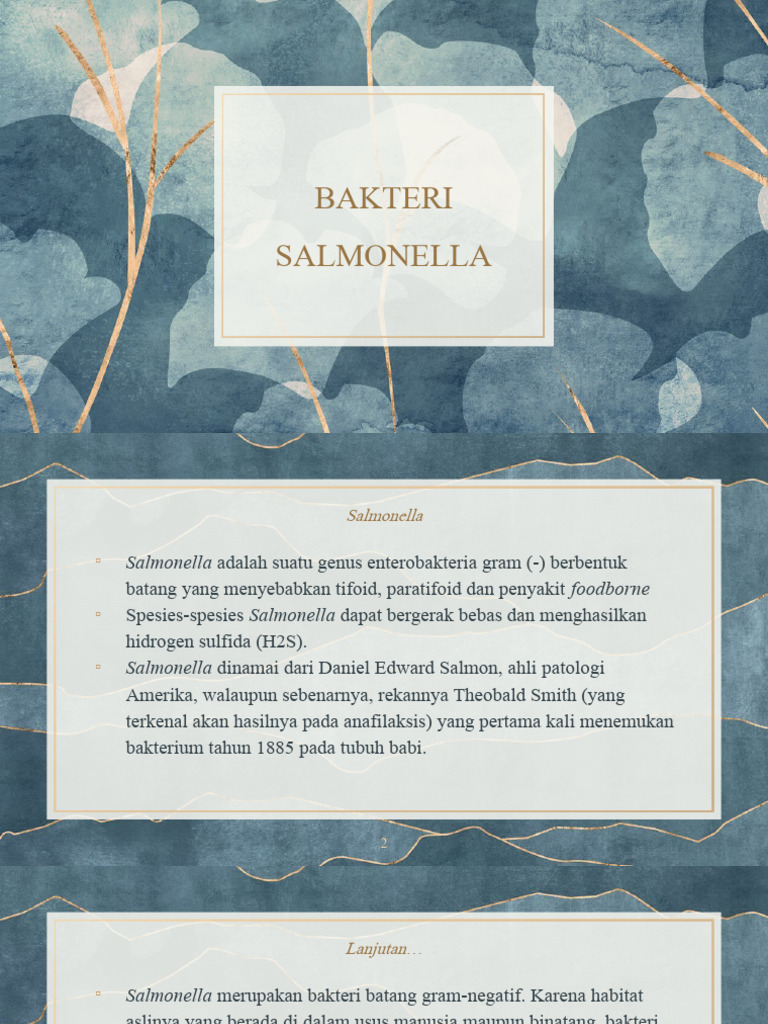 Identifikasi Salmonella | PDF