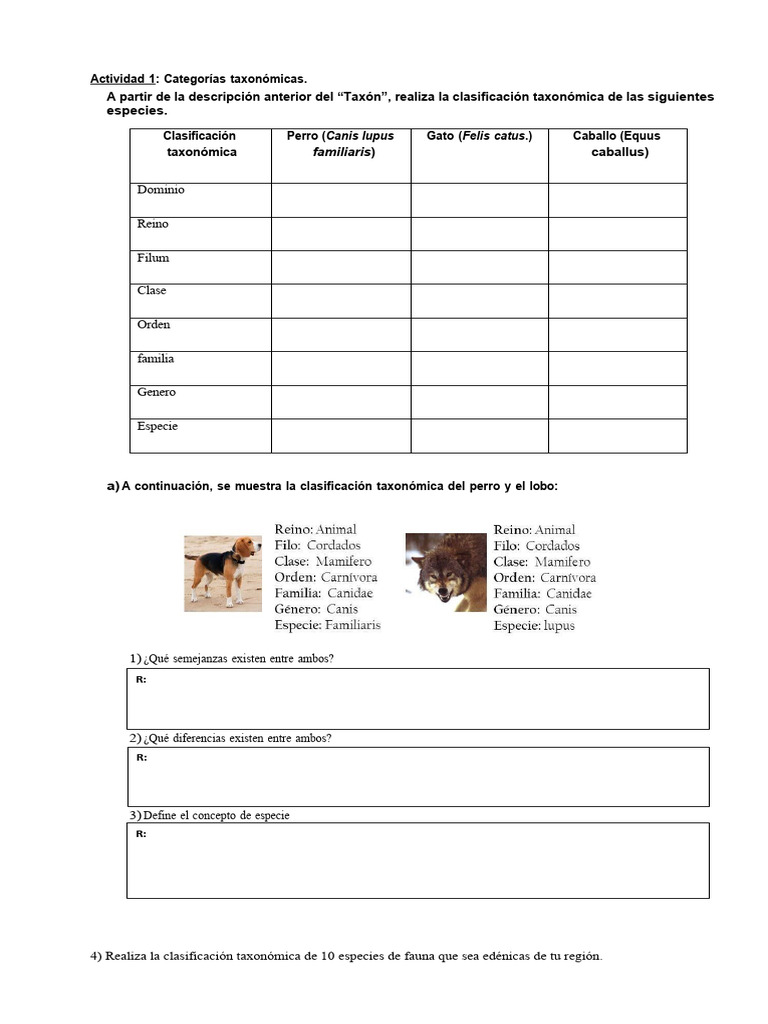 Actividad Sobre Taxonomia | PDF