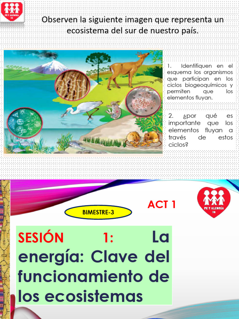 Sesión 1-3b-4ab-Ct | PDF | Red alimentaria | Ecosistema