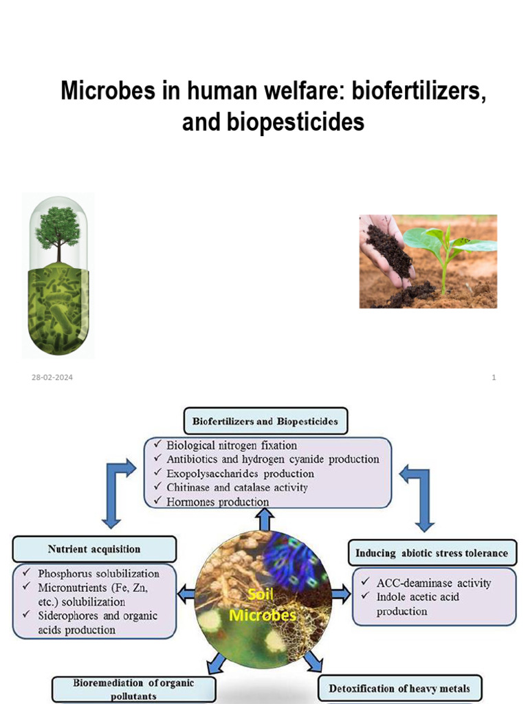 4.2. BIO fertiliser and biopesticide | PDF | Biological Pest Control ...
