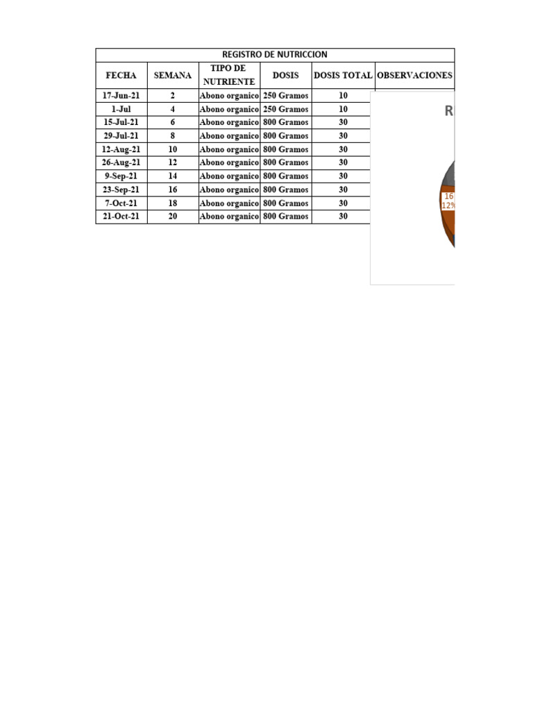 Registros Del Proyecto | PDF