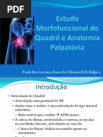 Musculos Quadril Tabela | PDF | Quadril | Anatomia dos membros inferiores