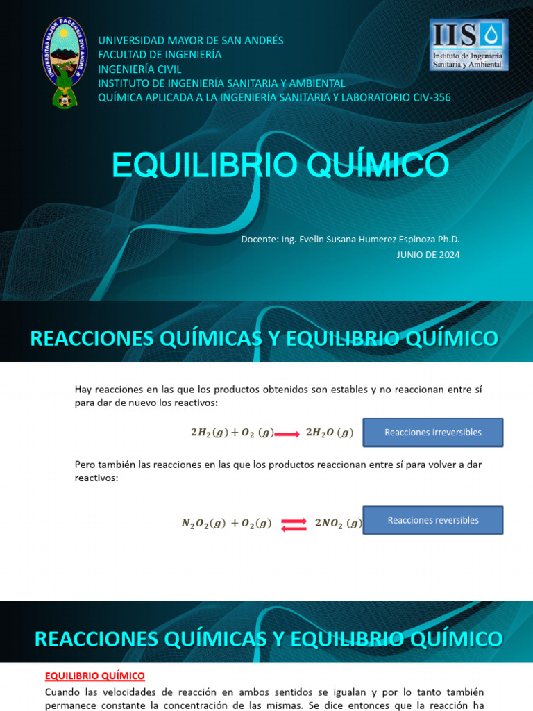 8. EQUILIBRIO QUÍMICO 2024.pptx | Descargar gratis PDF | Solubilidad | Equilibrio químico