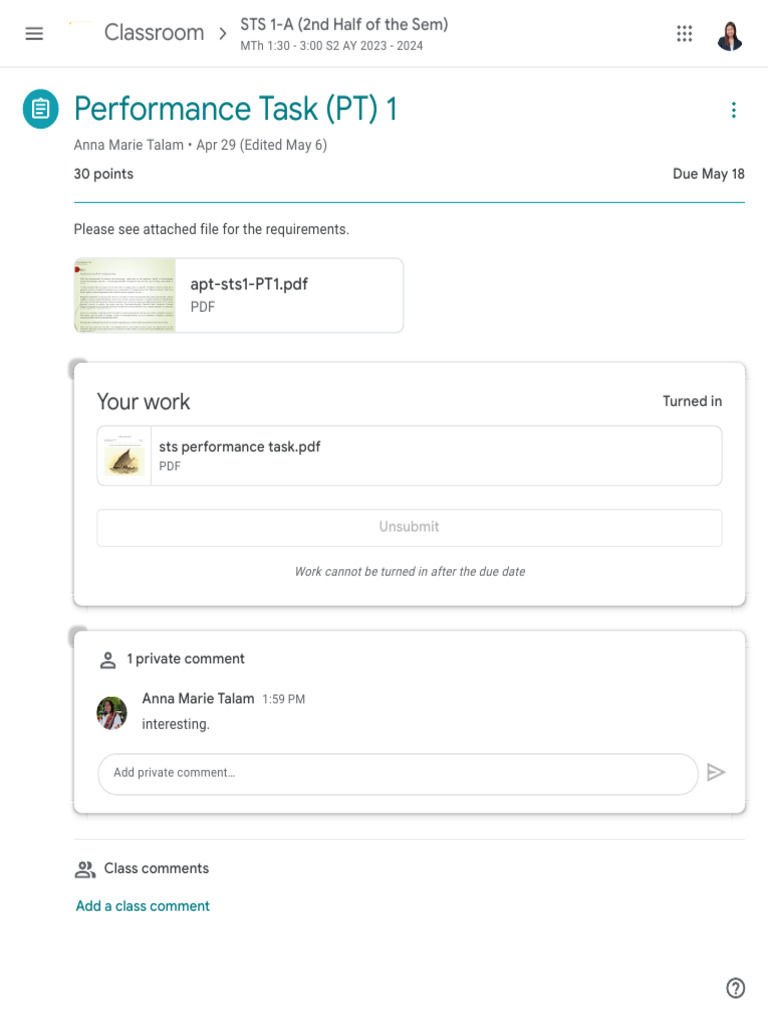 STS Performance Task Requirements | PDF