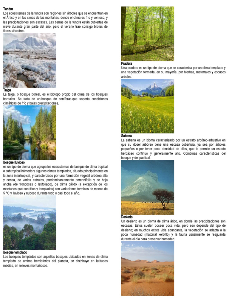 Biomas | PDF | Clima | Clima templado