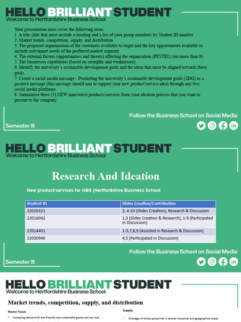 SME Presentation of Group 6 | PDF | Sustainability | Market (Economics)