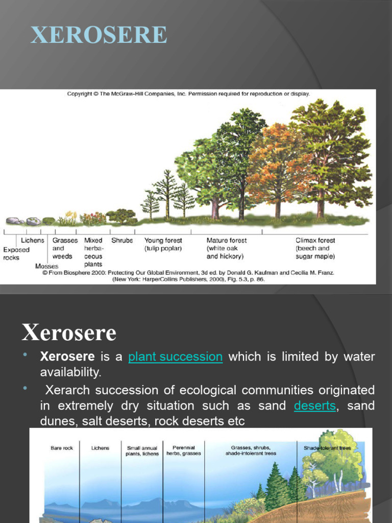 Xero Sere | PDF | Earth Sciences | Botany