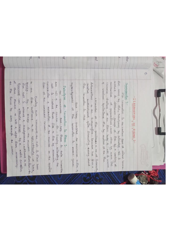 Fish Aqua Notes Handwritten | PDF