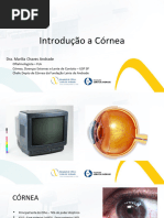 Anatomia e Fisiologia da Córnea | PDF | Córnea | Endotélio